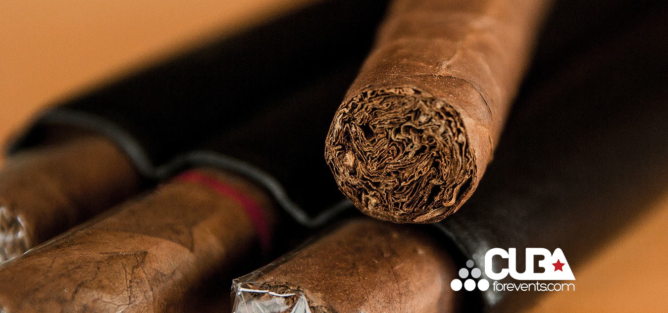 XXI Festival del Habano 2019 | Cubaforevents